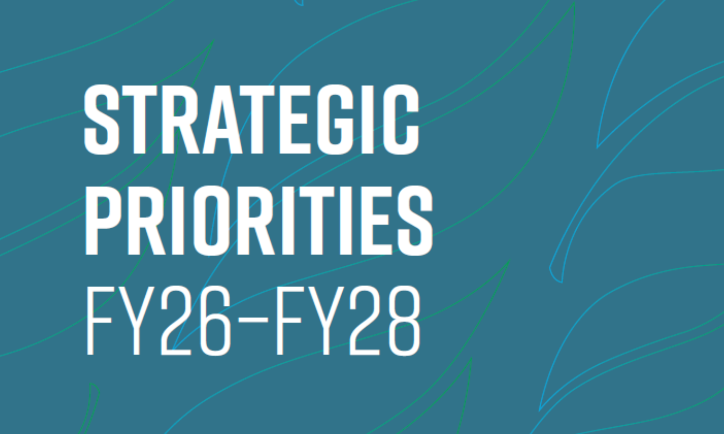 CAO Strategic Priorities FY23-25 | Office of the Compliance Advisor ...